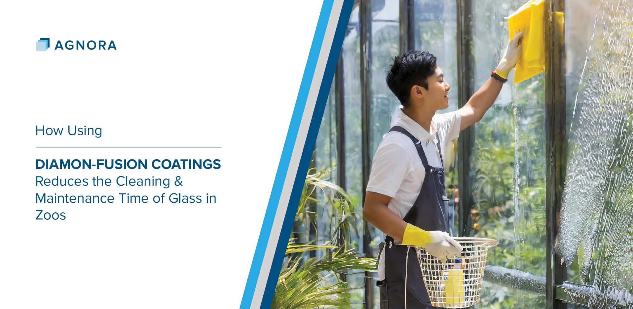 How Using Diamon Fusion Coatings Reduces the Cleaning and Maintenance ...
